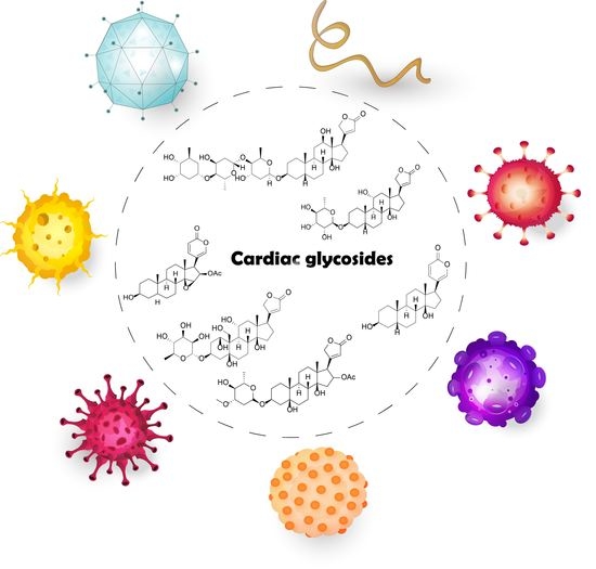 Molecules | Free Full-Text | Repurposing Cardiac Glycosides: Drugs for ...