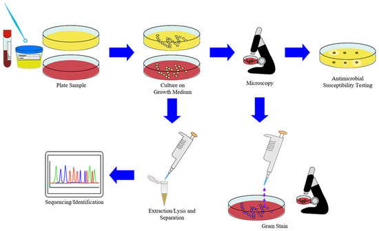 Sample Preparation and Diagnostic Methods for a Variety of Settings: A ...