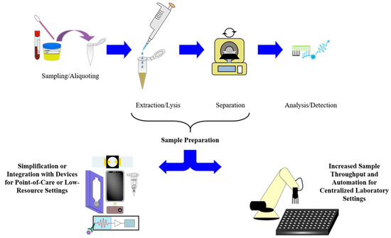 Sample Preparation and Diagnostic Methods for a Variety of Settings: A ...