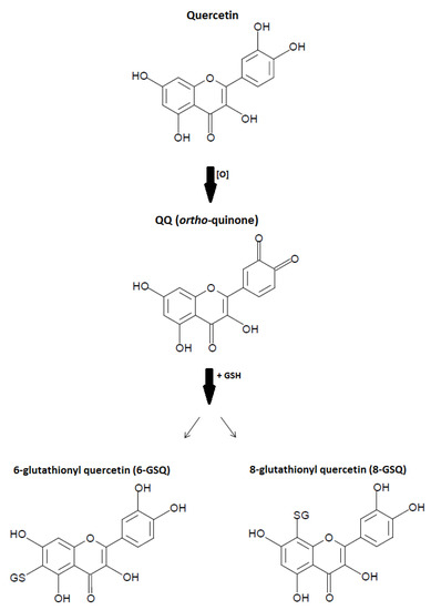 Polyphenolic Flavonoid Compound Quercetin Effects in the Treatment of ...