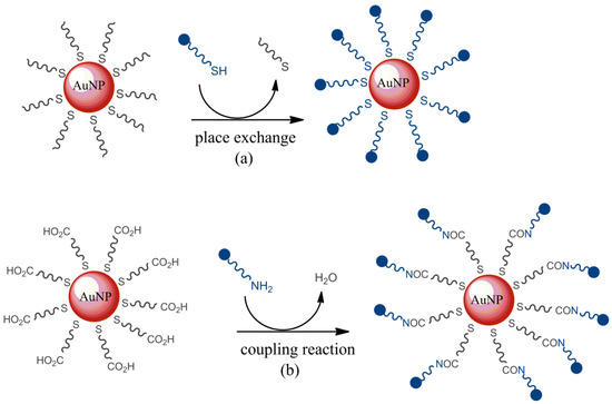 Synthesis, Chemical–Physical Characterization, and Biomedical ...