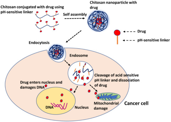 Controlled Drug Delivery Systems: Current Status and Future Directions
