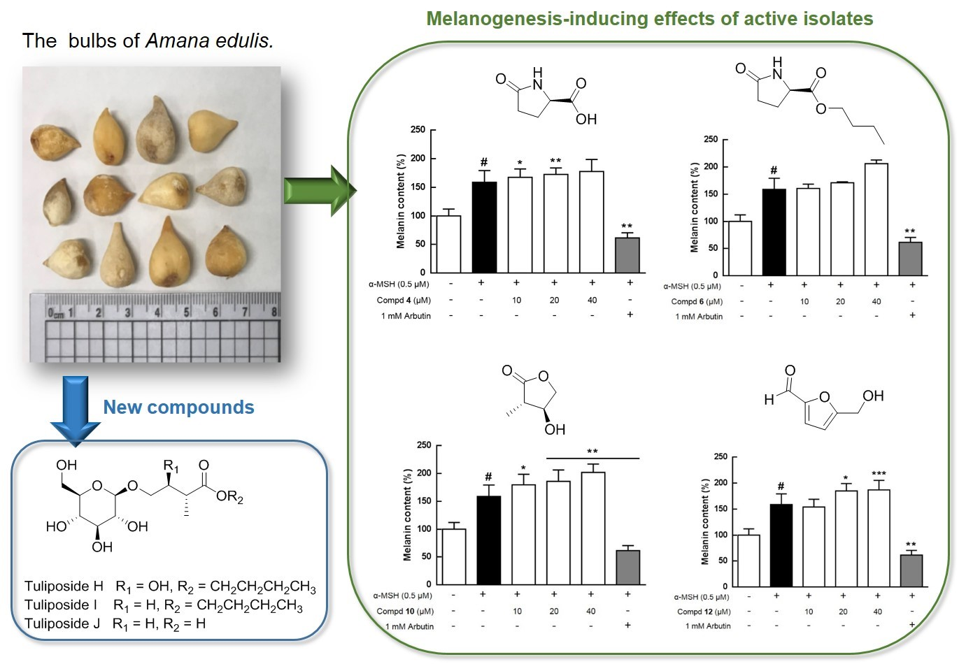 Molecules | Free Full-Text | Tuliposides H–J and Bioactive Components ...
