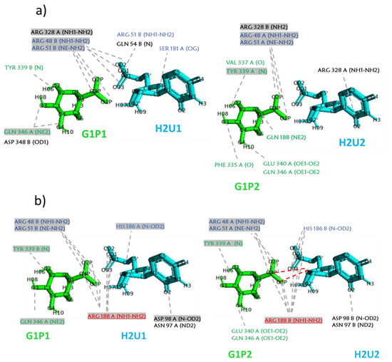 Analysis of the Structure-Function-Dynamics Relationships of GALT ...