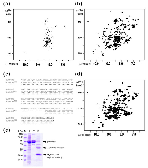 The Inducible Intein-Mediated Self-Cleaving Tag (IIST) System: A Novel ...