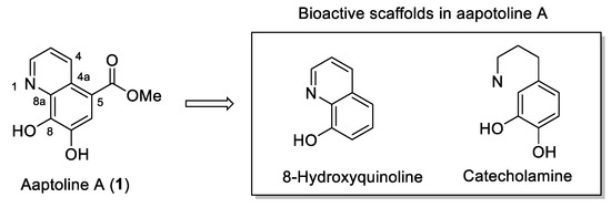 Synthesis of Proposed Structure of Aaptoline A, a Marine Sponge-Derived ...