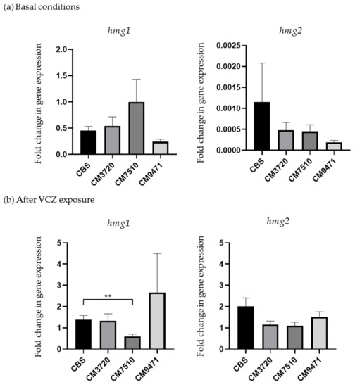 Are Point Mutations in HMG-CoA Reductases (Hmg1 and Hmg2) a Step ...