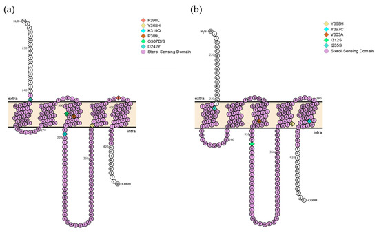 Are Point Mutations in HMG-CoA Reductases (Hmg1 and Hmg2) a Step ...