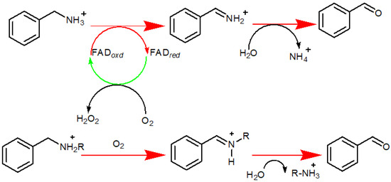 Monoamine Oxidase (MAO) as a Potential Target for Anticancer Drug ...