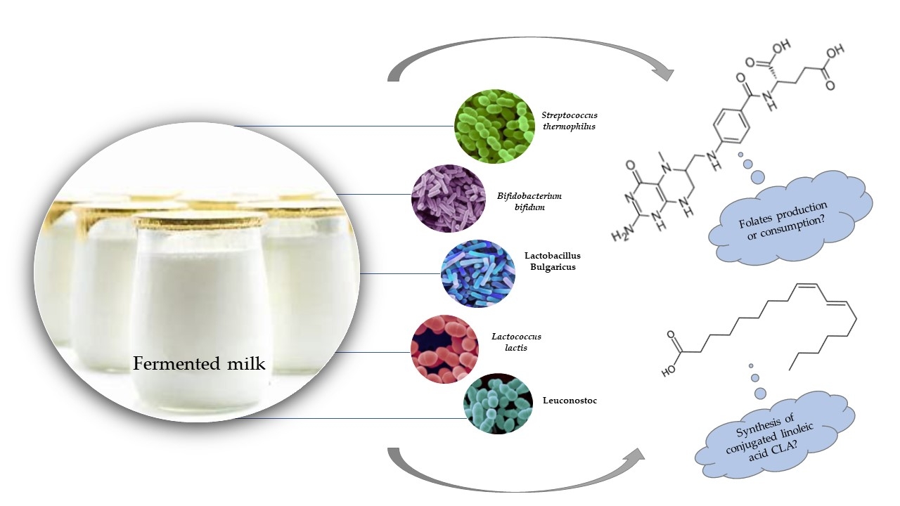 Molecules | Free Full-Text | Changes in the Folate Content and Fatty ...