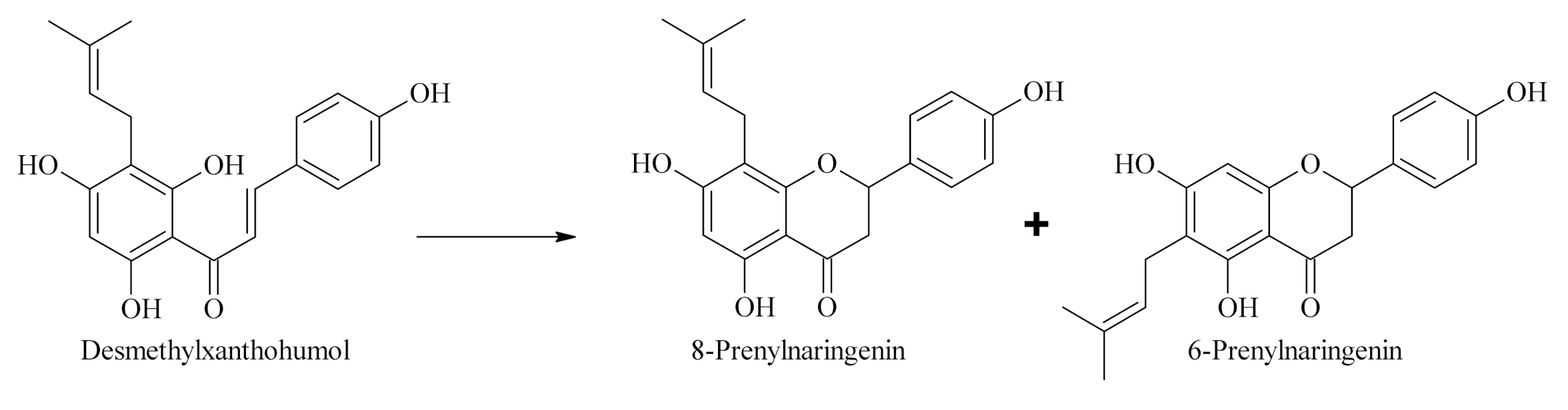 Molecules | Free Full-Text | Preparation of Hop Estrogen-Active ...