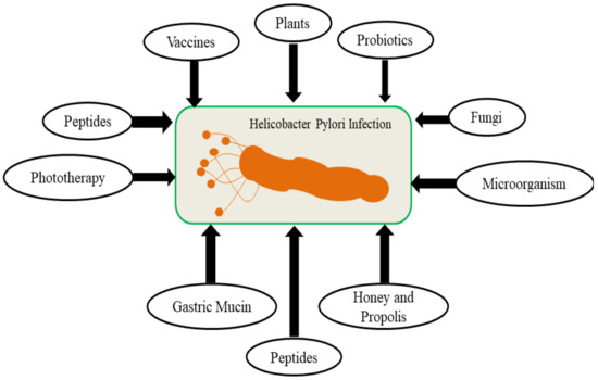Revisiting Therapeutic Strategies for H. pylori Treatment in the ...