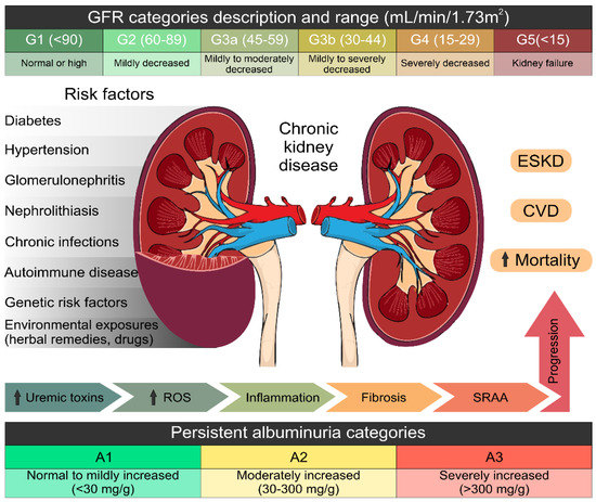Molecules | Free Full-Text | Potential Therapeutic Effects of Natural ...
