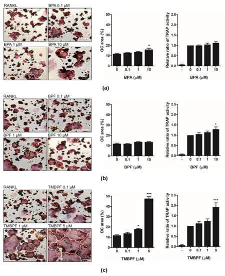 Effects of Bisphenol A and Its Alternatives, Bisphenol F and ...
