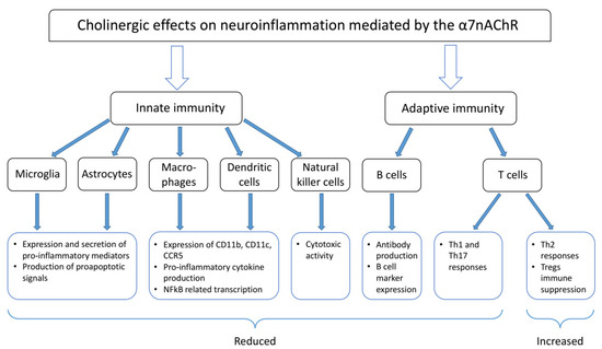 Neuroinflammation Modulation via α7 Nicotinic Acetylcholine Receptor ...