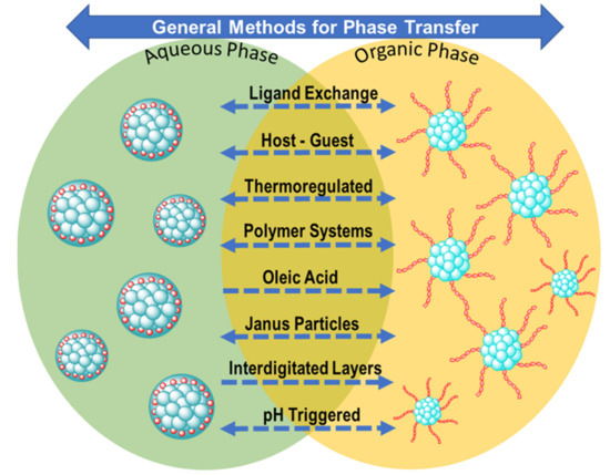 Fundamental Methods for the Phase Transfer of Nanoparticles