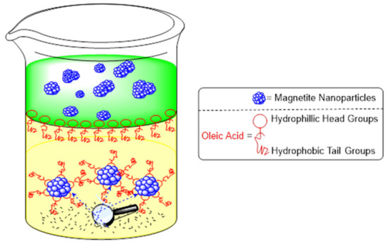 Fundamental Methods for the Phase Transfer of Nanoparticles