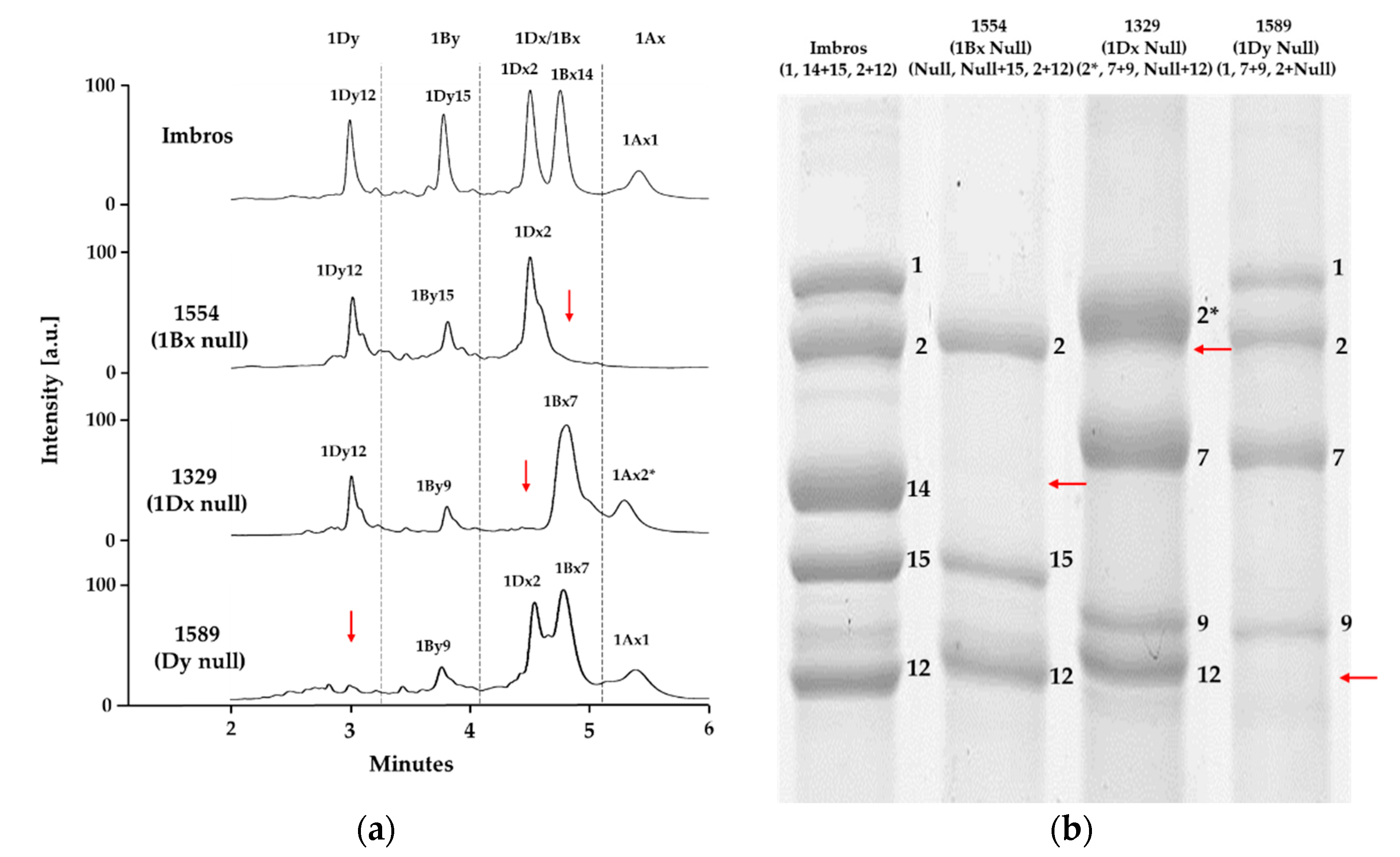 A Rapid, Reliable RP-UPLC Method for Large-Scale Analysis of Wheat HMW-GS Alleles