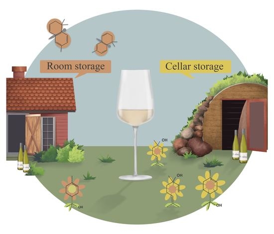 Molecules | Free Full-Text | Wine Storage at Cellar vs. Room Conditions ...