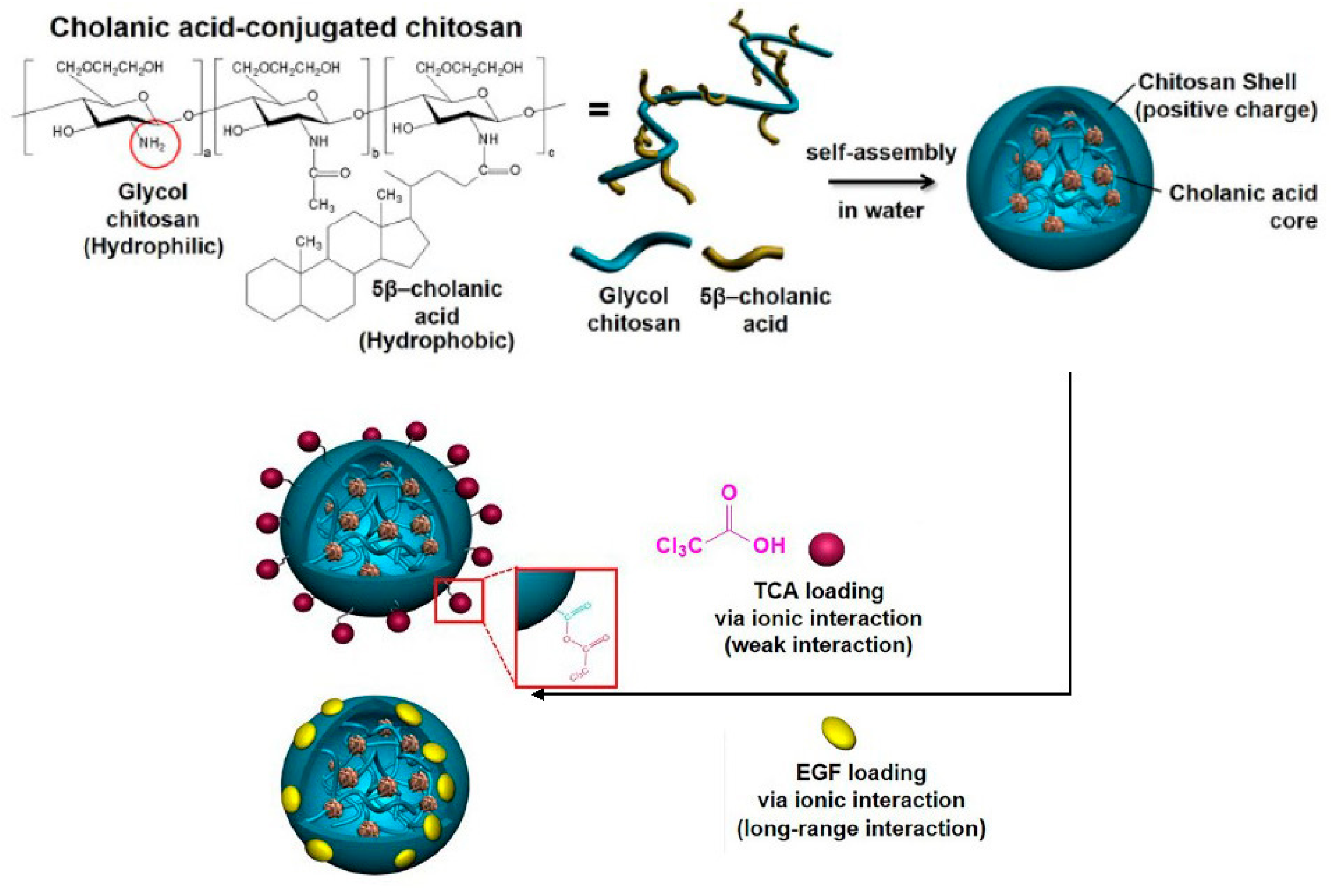Molecules Free Full Text The Application Of Chitosan Nanostructures
