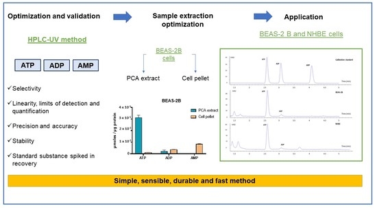 Molecules | Free Full-Text | Validation of a Fast and Simple HPLC-UV Method for the ...