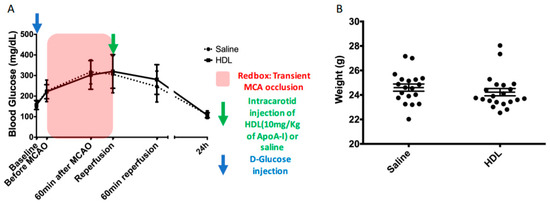 Molecules | Special Issue : High-Density Lipoprotein (HDL) Metabolism ...