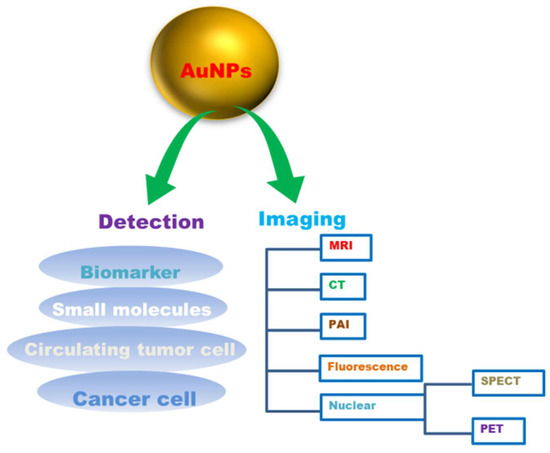 Green Synthesis of Gold Nanoparticles Using Plant Extracts as ...
