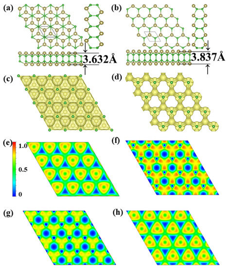 Two-Dimensional TeB Structures with Anisotropic Carrier Mobility and ...