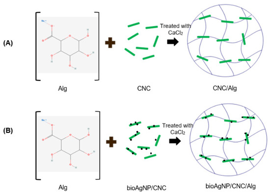 Study of Antibacterial and Anticancer Properties of bioAgNPs ...