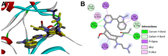 Icotinib, Almonertinib, and Olmutinib: A 2D Similarity/Docking-Based ...