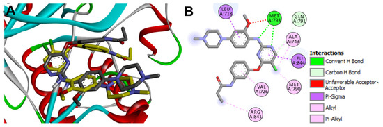 Icotinib, Almonertinib, and Olmutinib: A 2D Similarity/Docking-Based ...