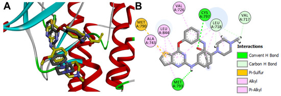Icotinib, Almonertinib, and Olmutinib: A 2D Similarity/Docking-Based ...