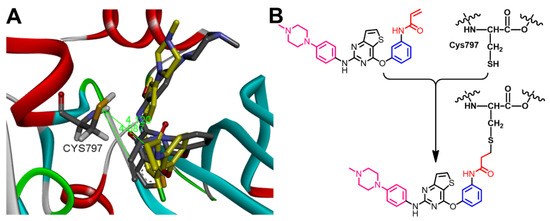 Icotinib, Almonertinib, and Olmutinib: A 2D Similarity/Docking-Based ...