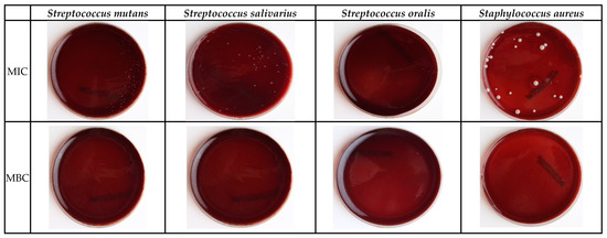 Streptococcus Salivarius Agar