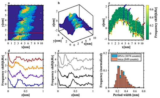 Revealing DNA Structure at Liquid/Solid Interfaces by AFM-Based High ...