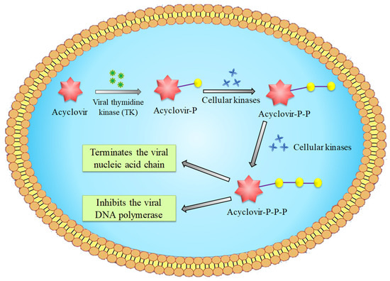 Critical Review of Synthesis, Toxicology and Detection of Acyclovir