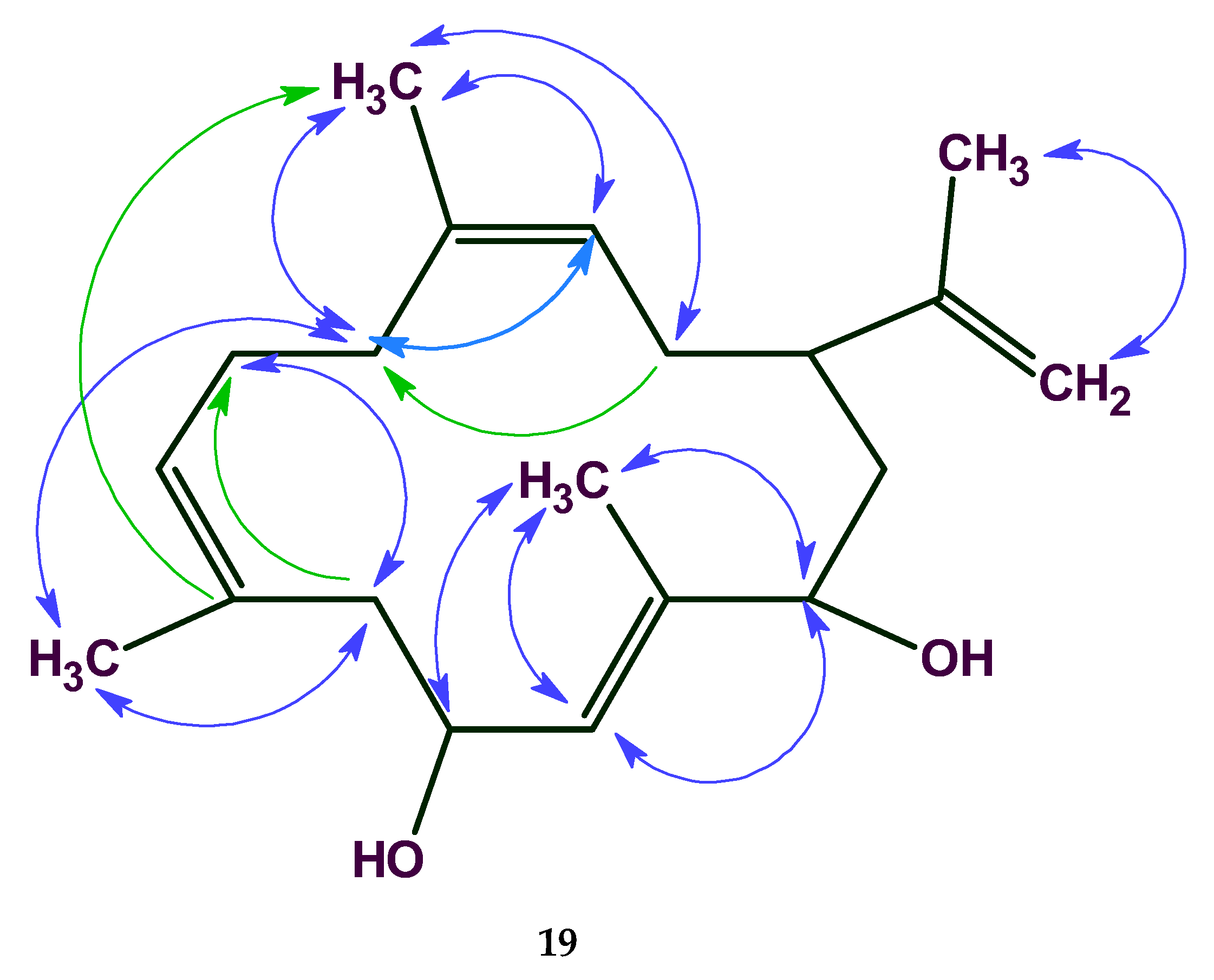 ACD/Structure Elucidator: 20 Years in the History of Development