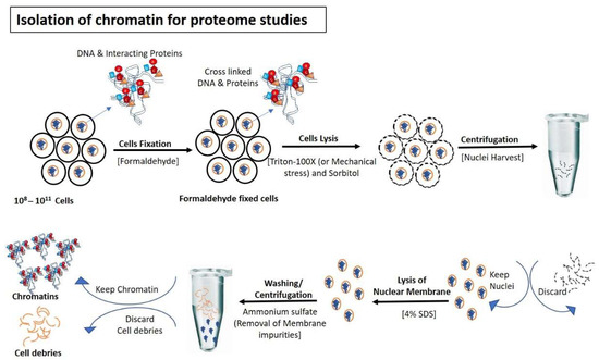 Molecules | Free Full-Text | Current Analytical Strategies in Studying ...