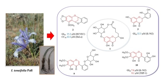 Molecules | Free Full-Text | Chromane Derivatives from Underground ...
