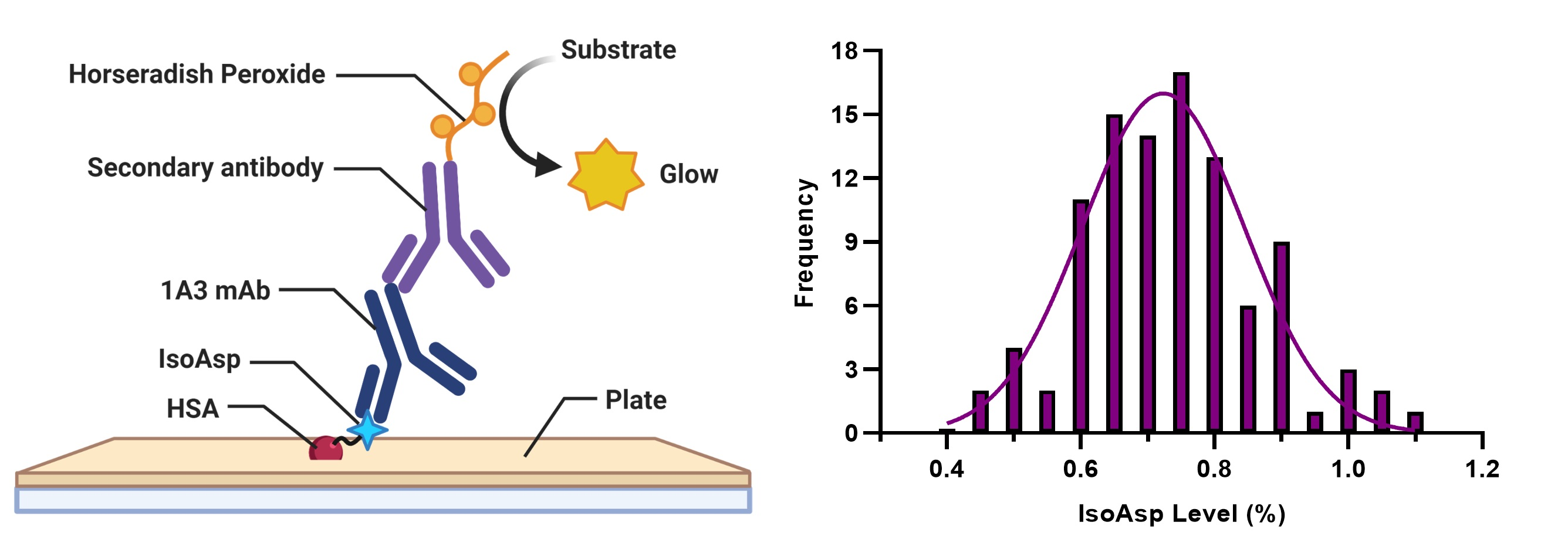 Molecules | Free Full-Text | First Immunoassay for Measuring ...