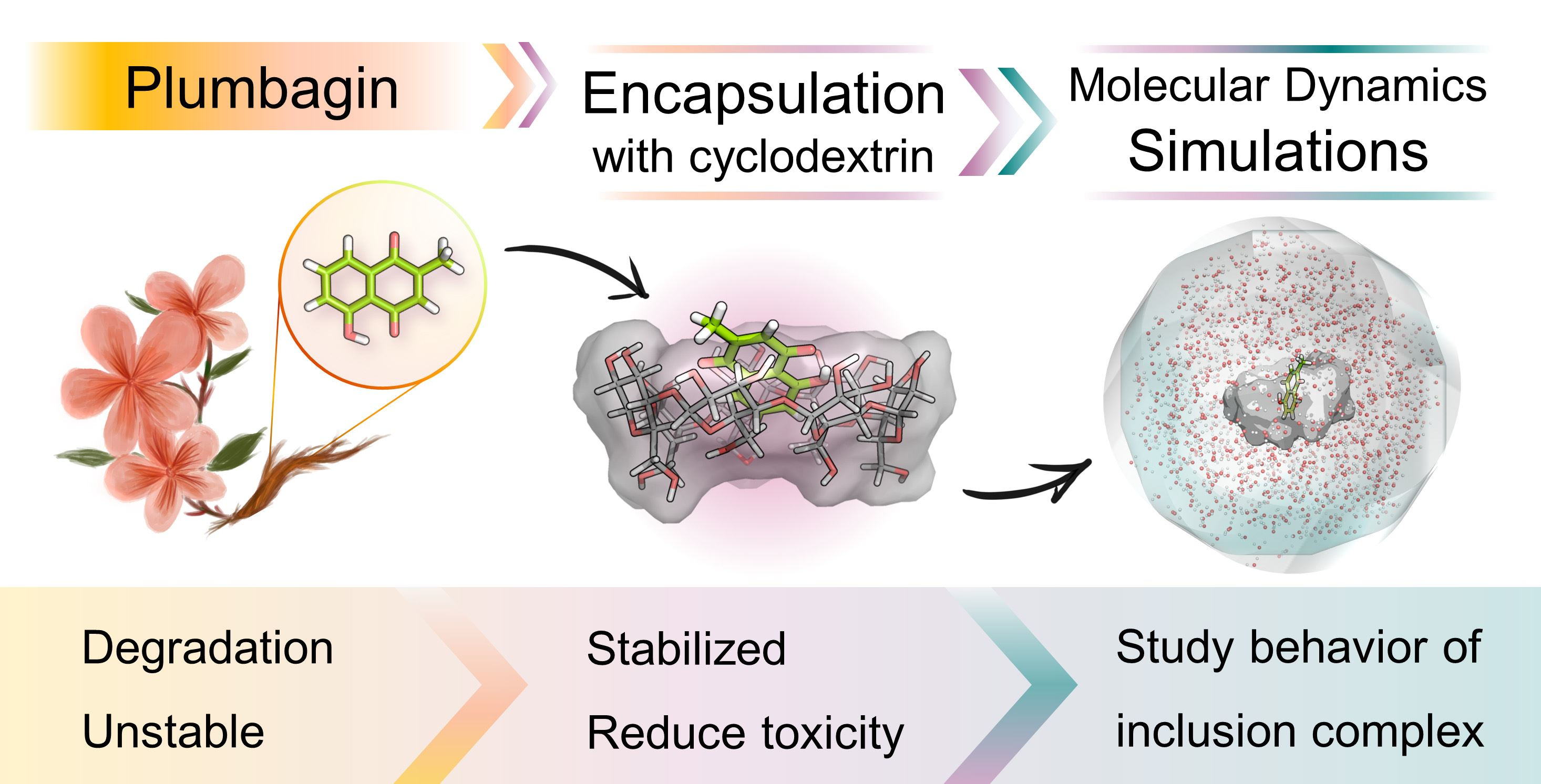 Molecules | Free Full-Text | Molecular Dynamic Simulation Analysis on ...