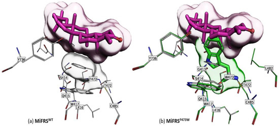 The Methionine 549 and Leucine 552 Residues of Friedelin Synthase from ...