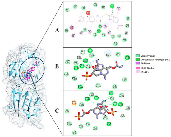 Molecular Insights into Binding Mode and Interactions of Structure-Based Virtually Screened ...