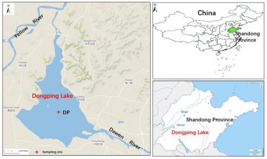 A 110 Year Sediment Record of Polycyclic Aromatic Hydrocarbons Related ...