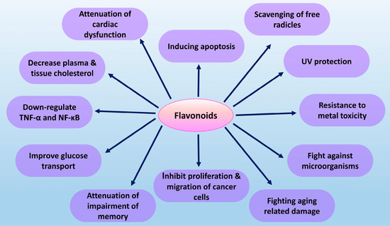 Molecules Free Full Text Insight Into Potential Anticancer Activity