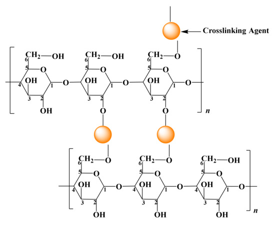 Development of Starch-Based Materials Using Current Modification ...