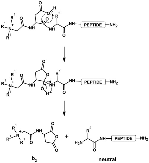 Analysis of Fragmentation Pathways of Peptide Modified with Quaternary ...