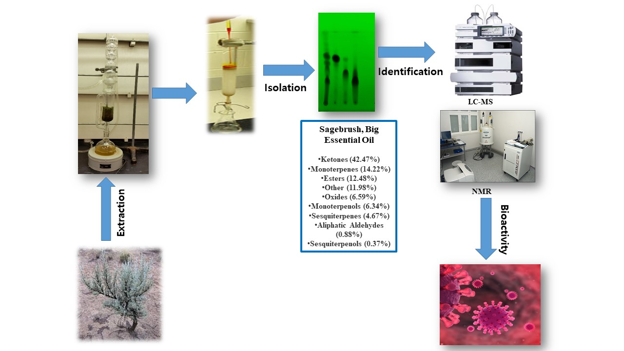 Molecules | Free Full-Text | Extraction, Isolation and Characterization ...