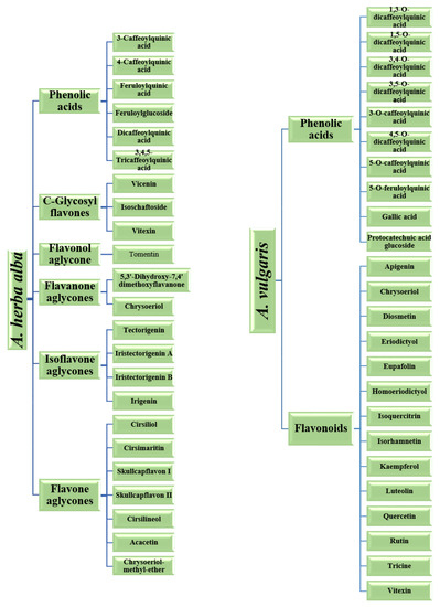 Extraction, Isolation and Characterization of Bioactive Compounds from ...