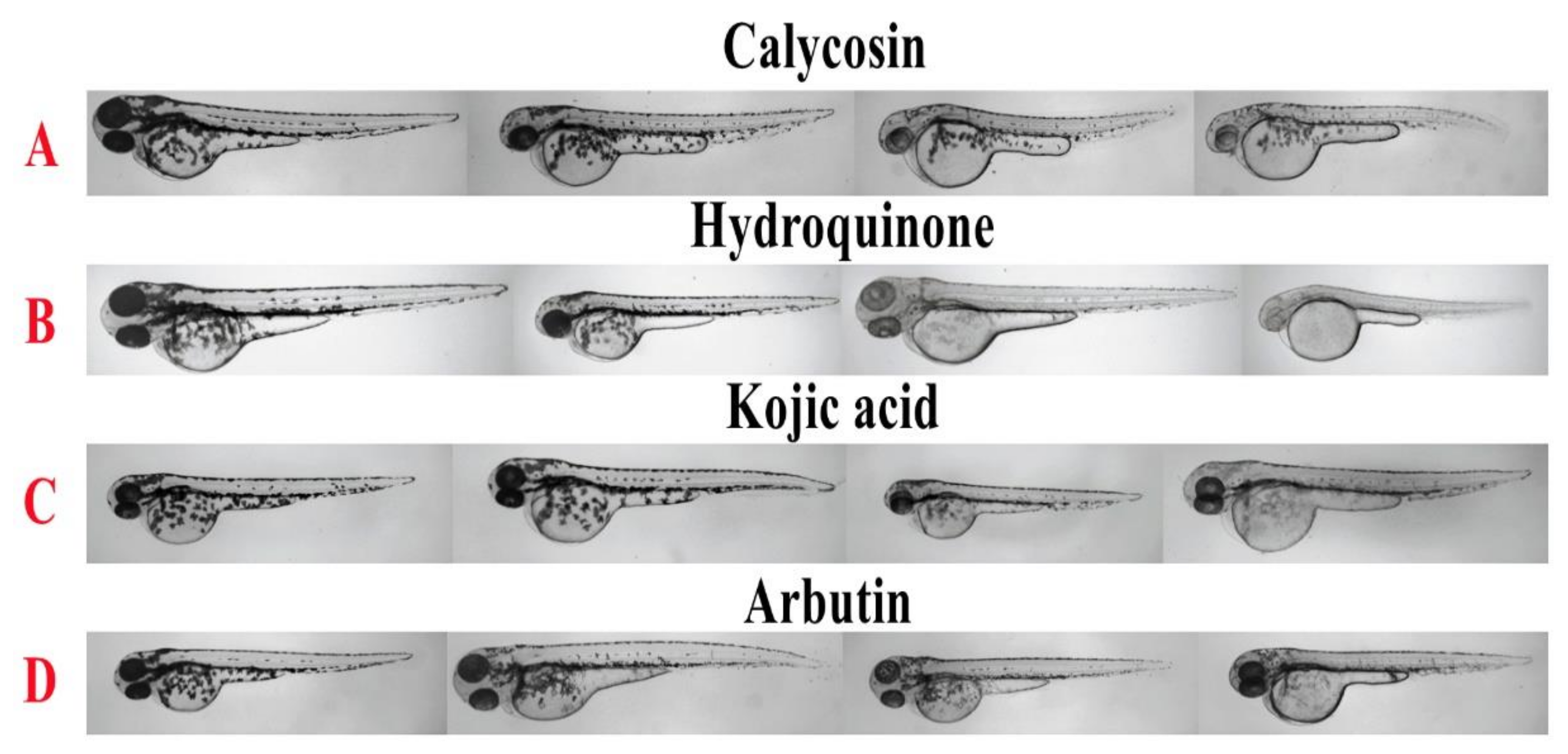 Molecules | Free Full-Text | Theoretical Exploring of a Molecular ...